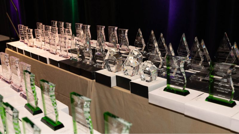 Congratulations To This Year’s Award Winners - Alpha Kappa Alpha ...